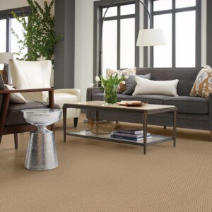 Carpet Inspiration Gallery - The Floor Store