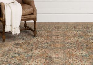 Area Rugs - San Francisco Bay Area - The Floor Store